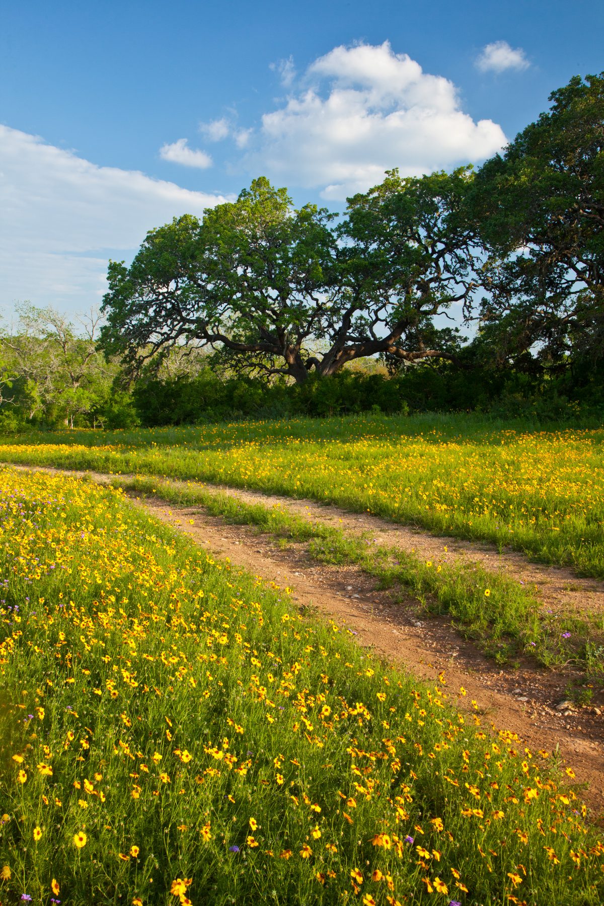 Gallagher Headquarters Ranch | Texas Ranch for Sale
