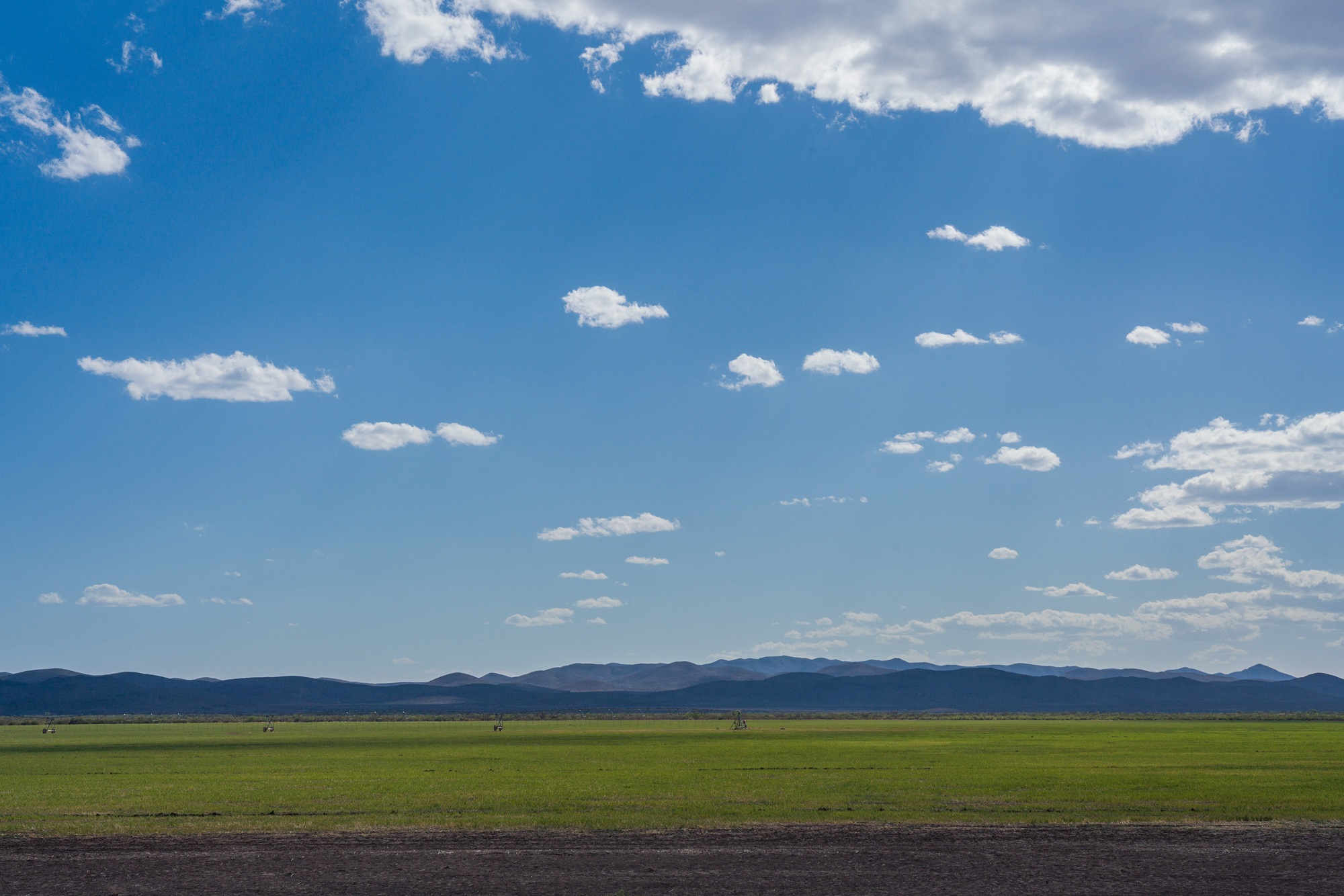 Koehn Ranch and Farm - King Land & Water